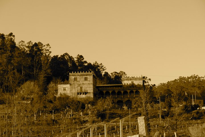 Salceda de Caselas: Fotos Salceda de Caselas (diciembre 2010)
