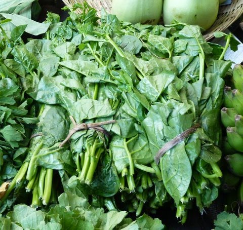 Rushina Munshaw Ghildiyal: January in shades of GREEN!