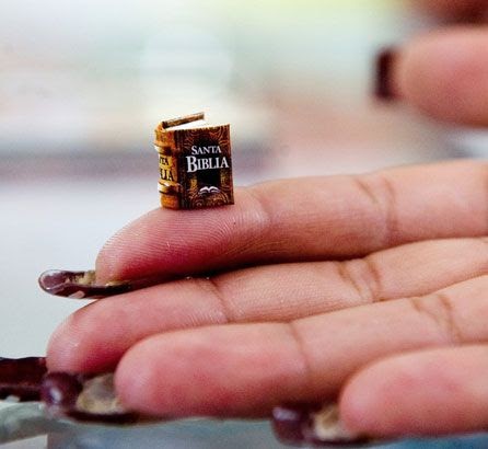 Word Salad: World's Smallest Book