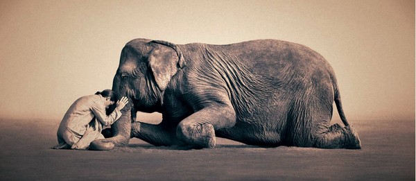 OJOS CALEIDOSCOPIO: GREGORY COLBERT