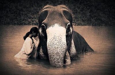 OJOS CALEIDOSCOPIO: GREGORY COLBERT