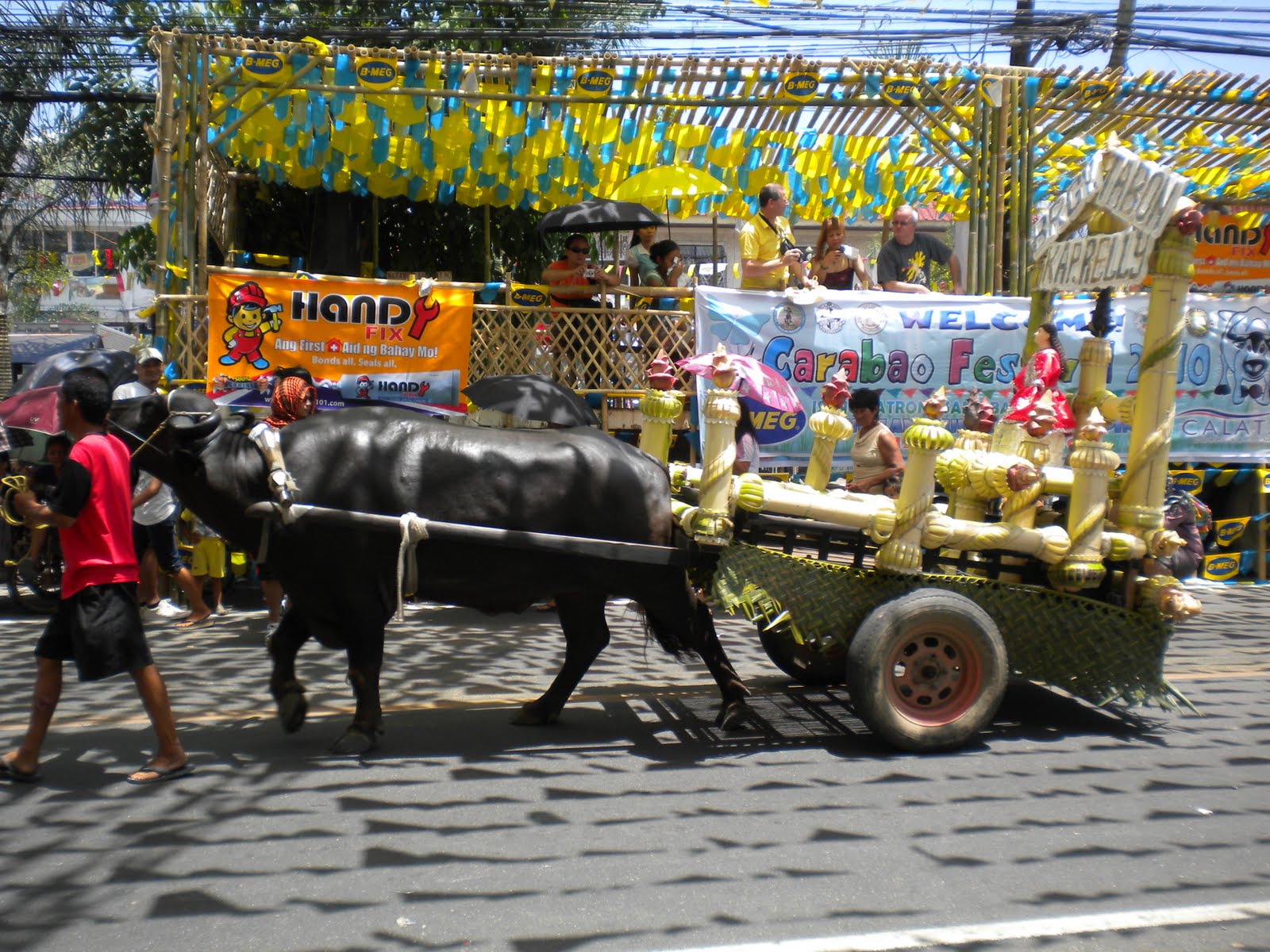 Dennis and Donna Humanitarian Services Philippines: Carabao's and ...
