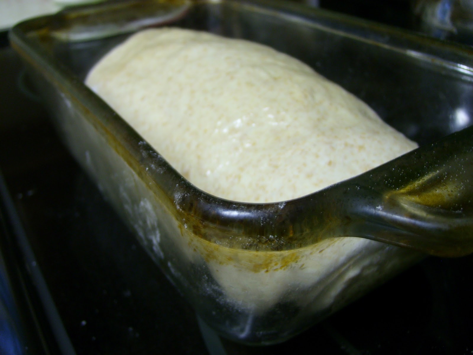 Adorkable Recipes: Homemade Whole Wheat Bread (with step by step photos!)