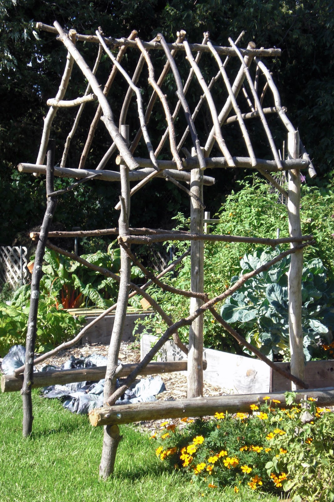 The Violet Fern: Project: Rustic Arbor