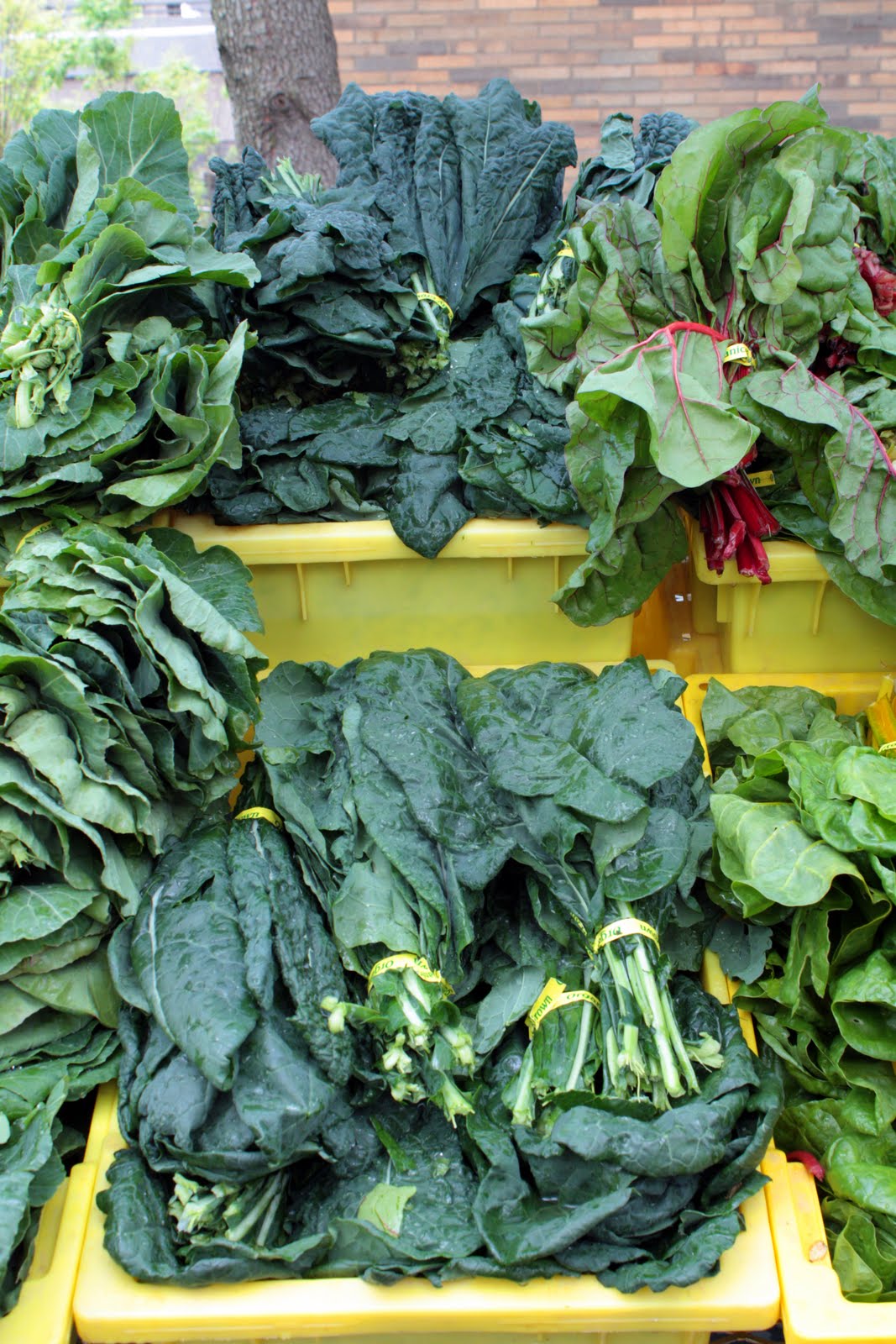 Hungry Cravings: Greens, Glorious Greens