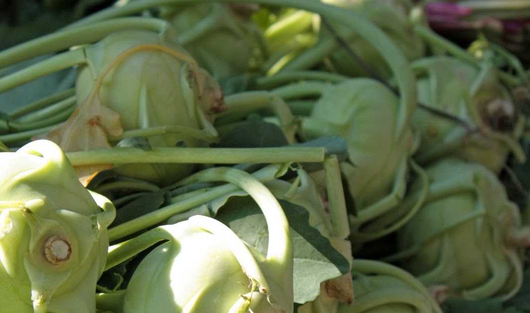 Hungry Cravings: Invasion of the Alien Vegetables!