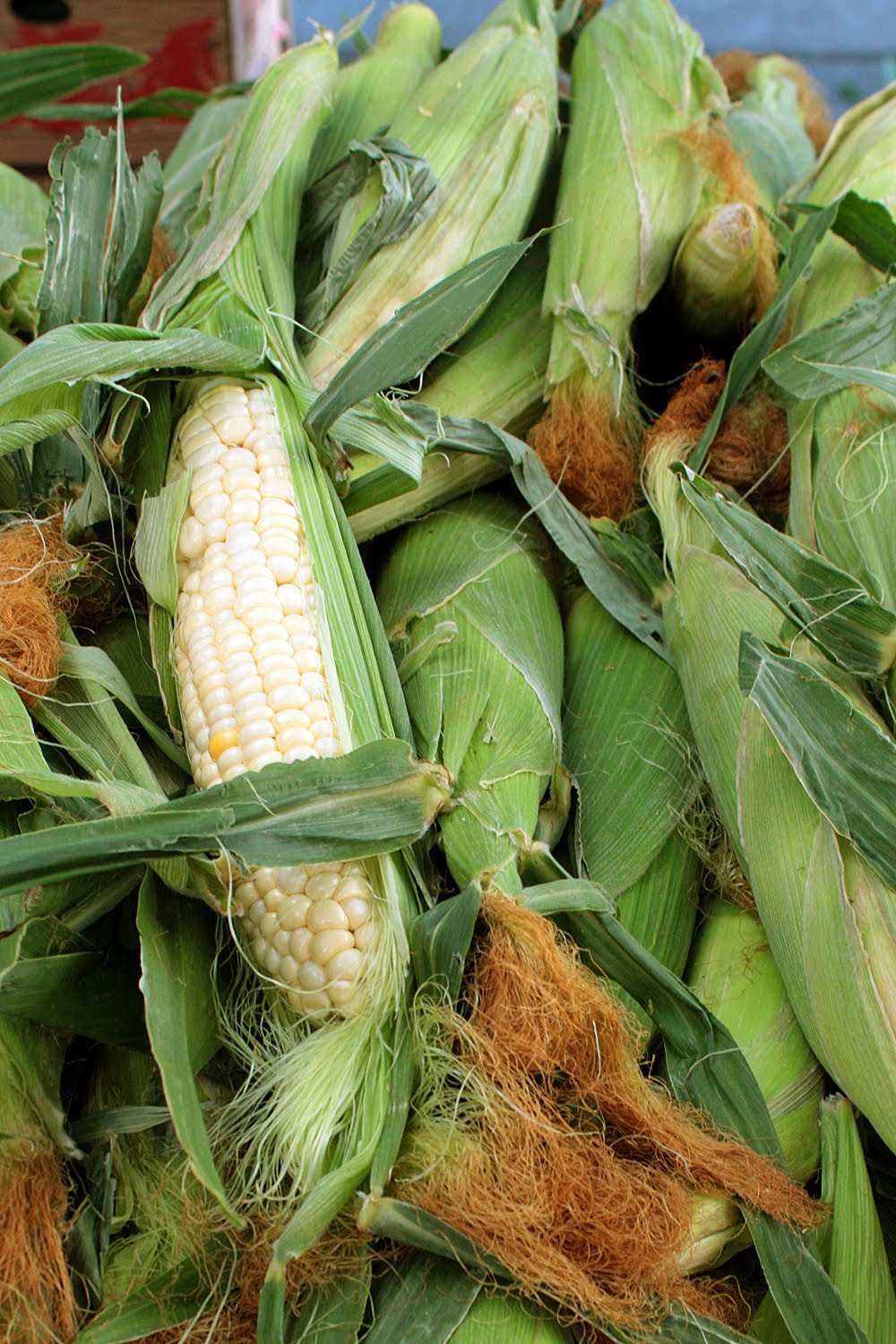 Hungry Cravings: Eating Corn on the Cob