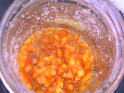 GradinaPasiuneaMea: Dulceata de dude