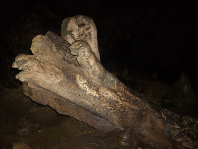 SITUS GOA MAMPU - Towarani 1407