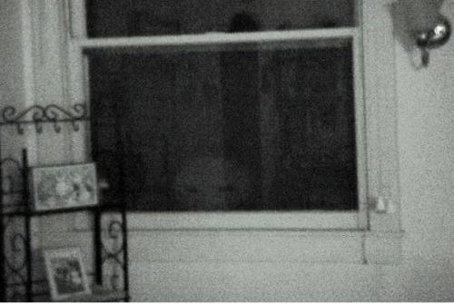 How Much Is That Alien In The Window? | Sanity, Interrupted...