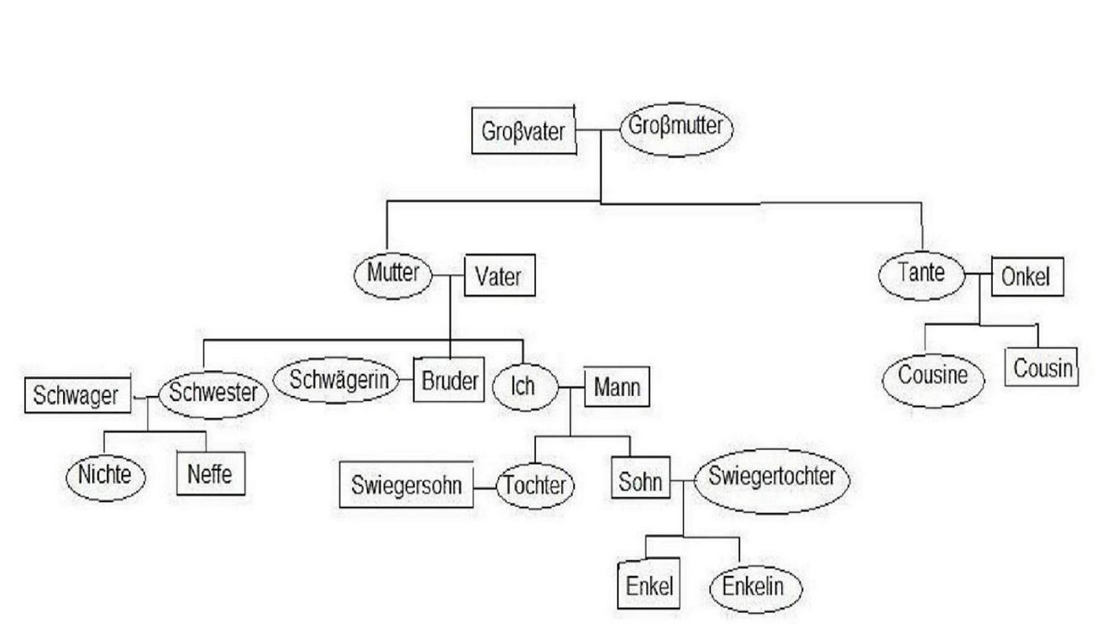 Bi Ba Bo Buluuuu: Familibaum und Verwandtschaft