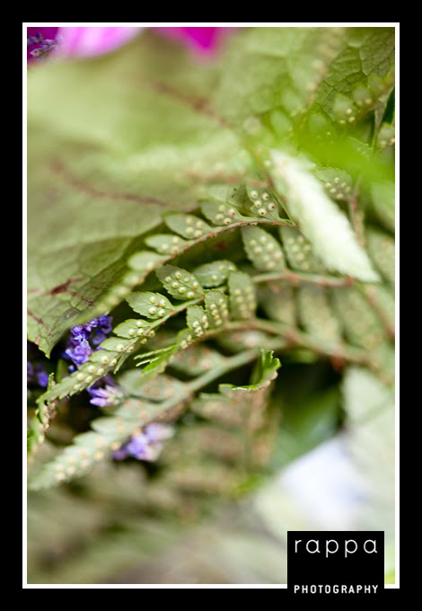 Rappa Photography Blog: Jennifer & Greg - Married!