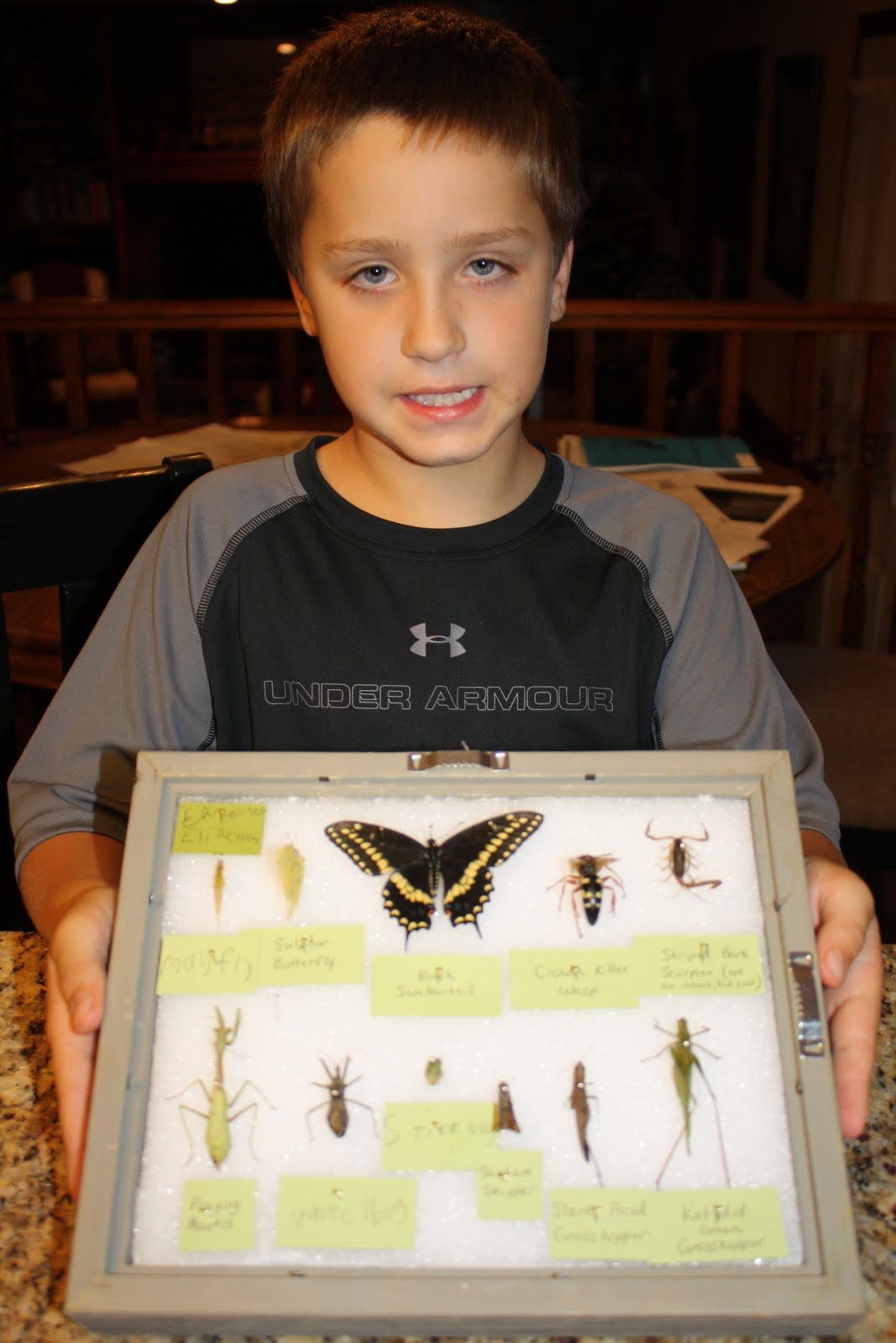 Girls Just Want to Stamp!: Eli's 3rd Grade Science Project