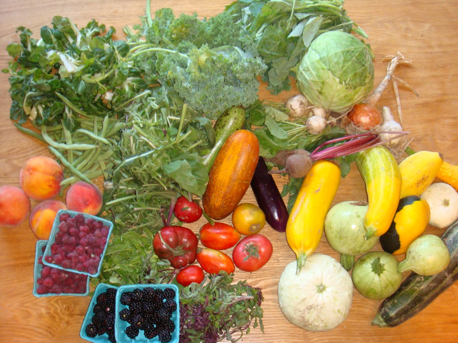 Zoe's Garden Community Supported Agriculture: Fuzzy Vegetables and ...