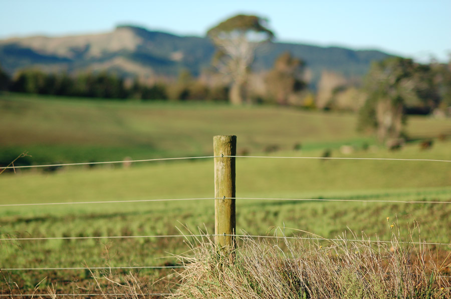 Best of the photography forums - tutorials: Creating separation