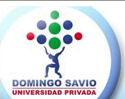 instituto técnico domingo savio: carreras del instituto domingo savio