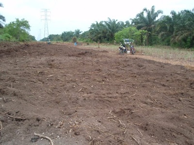 SERAI VS TEBU: Penyediaan tanah baru