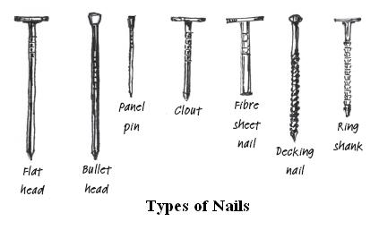Different Types: Different Types Of Nails