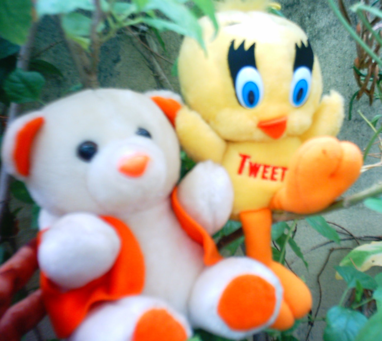 Teddy Tweety: Teddy Tweety Welcomes You