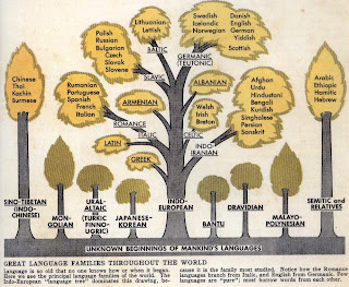 All Rounder-Exploring: Great Language Families throughout the world!