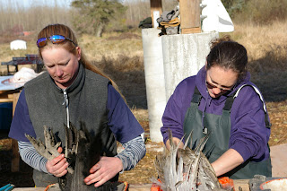 meat: Turkey processing class
