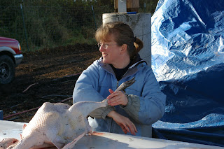 meat: Turkey processing class