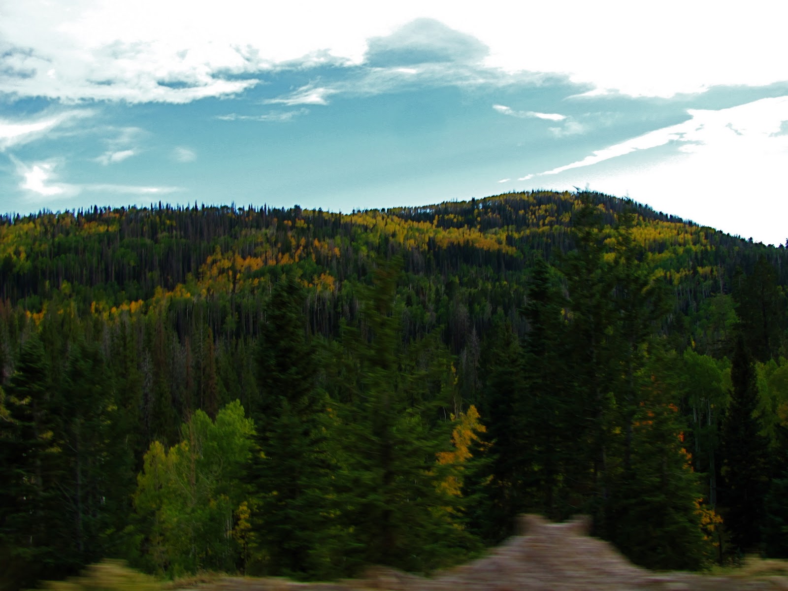 Cimaron Neugebauer: Fall Colors on Cedar Mountain in Southern Utah ...