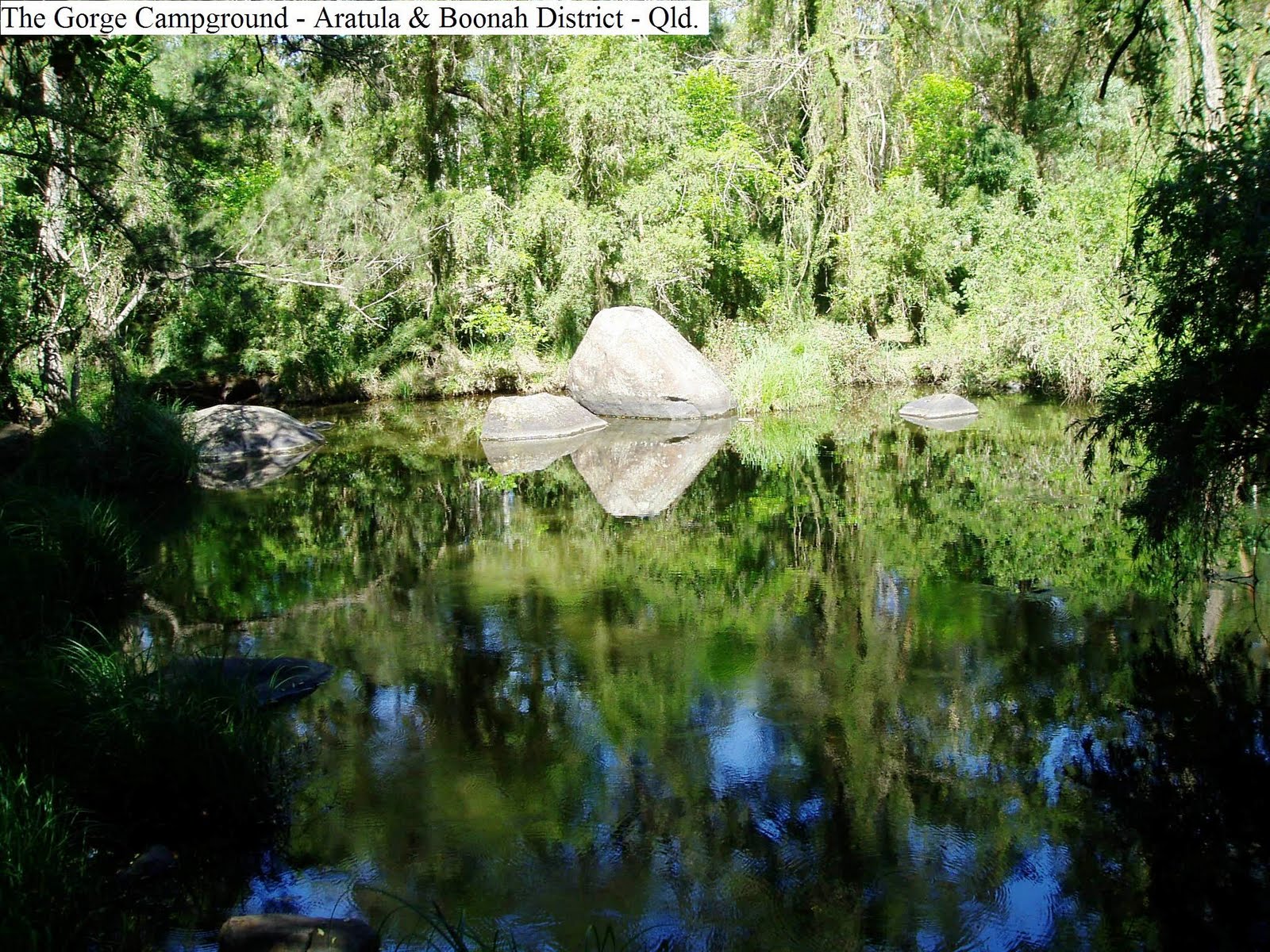 Nannapop Queensland Return to Main Site: 16th November 2008 - The Gorge ...