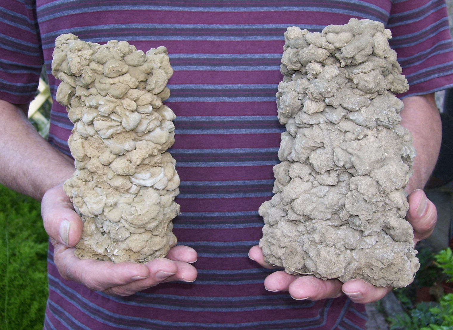 Noni & Pops travels: crawdad mounds