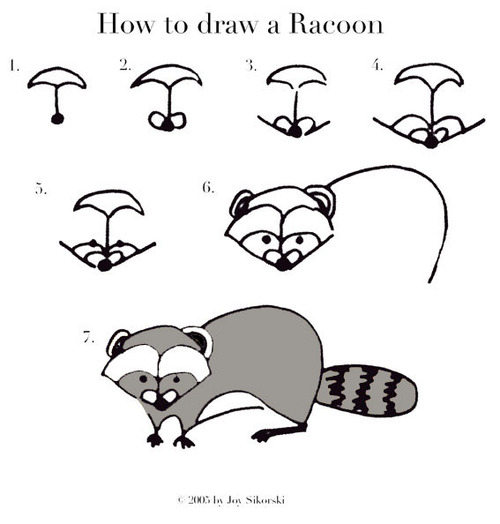 inside looking out: how to draw a racoon
