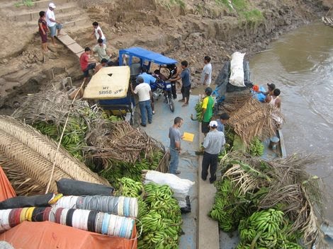 TUTAYKIRI: Grupo Etnico Shapra en peligro de extinción por hepatitis B y D