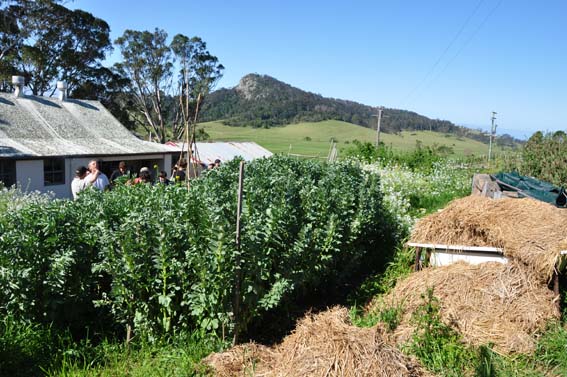 art and etc: sticky beaking...