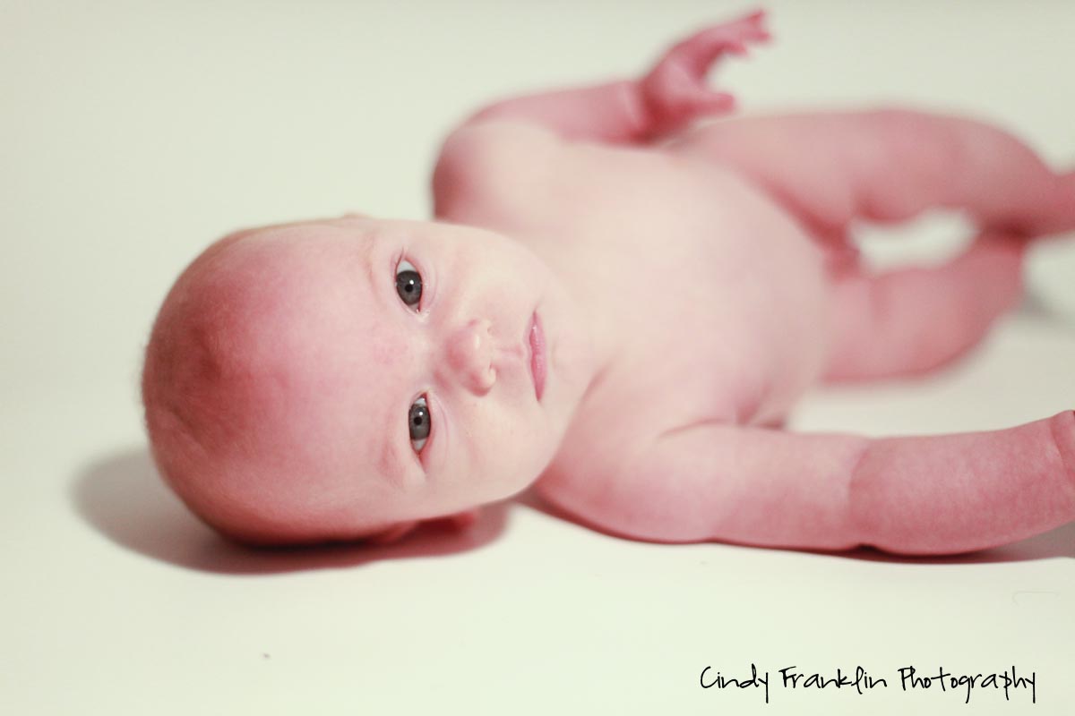 Cindy Franklin Photography: 3 month old today-Baby Boy