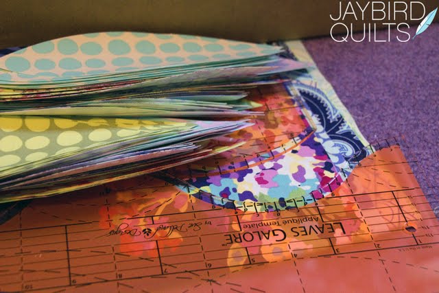 Jaybird Quilts: Amy Butler... Love