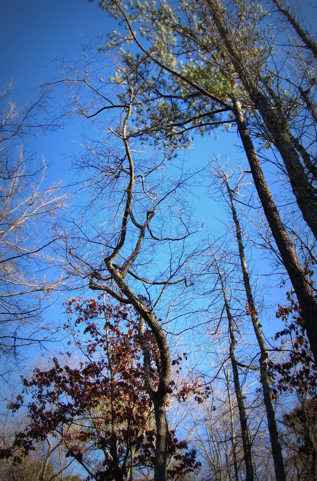 Obscure Illusions: I can see clearly now the rain is gone (day 3)