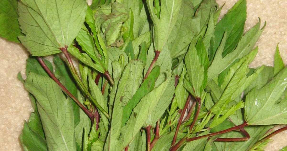 Taste of South India: Gongura / Pulicha Keerai Thokku