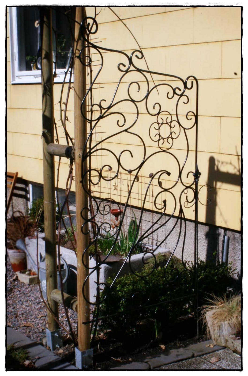 Lottas trädgård - blommor och blader i city, blandat med båt, hav och tång!