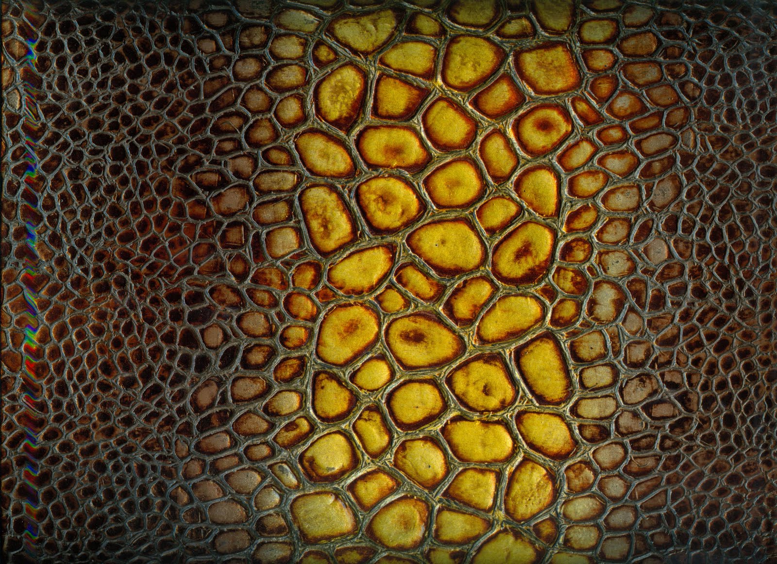 Barbarossa Leather: Introducing our New Pattern "Turtle Croc"