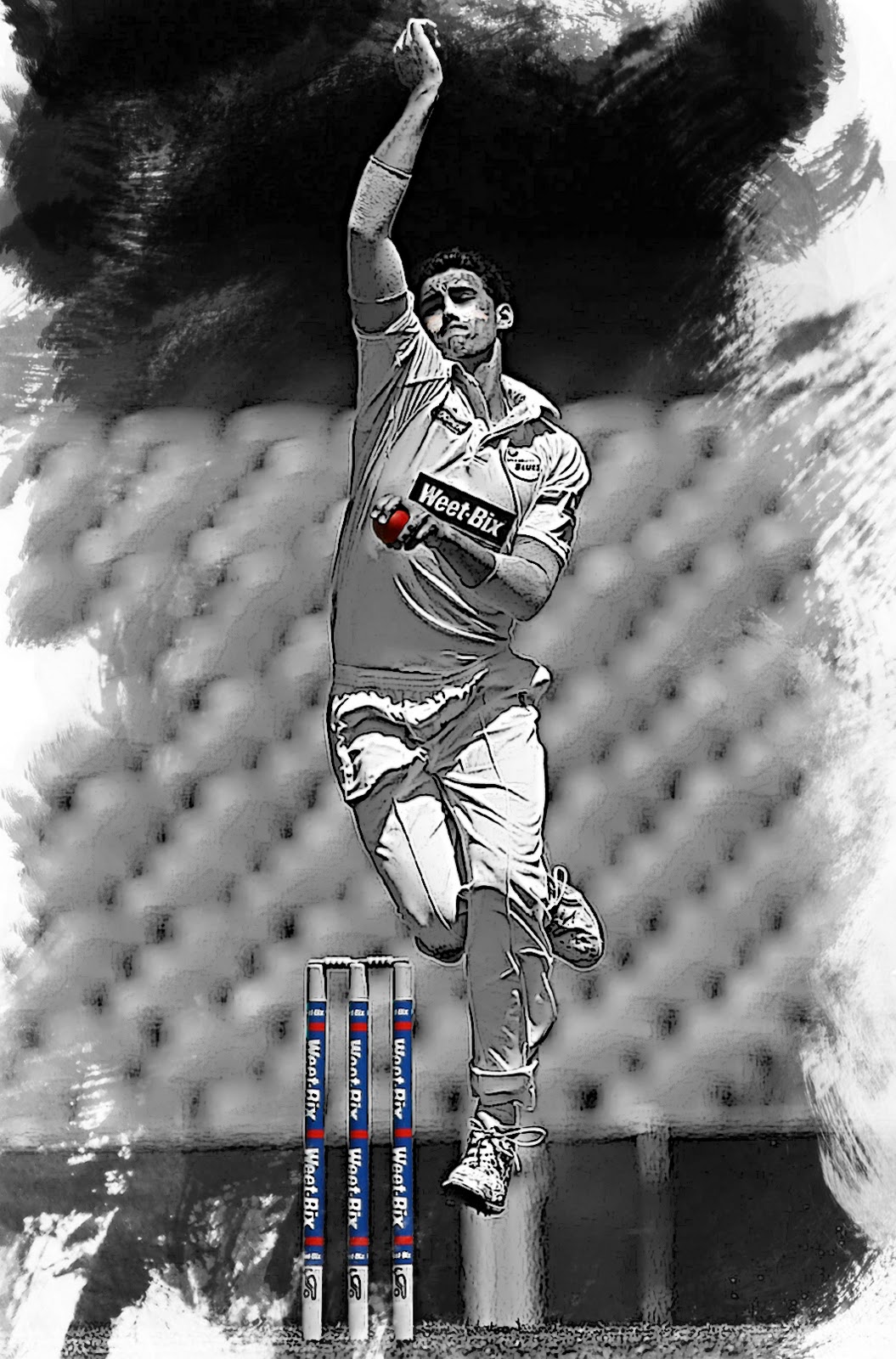 Cricket = Action = Art: 2010-11-07