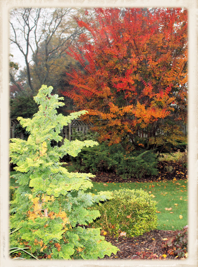 A GUIDE TO NORTHEASTERN GARDENING: Fall Garden Photos: The Fall Garden ...