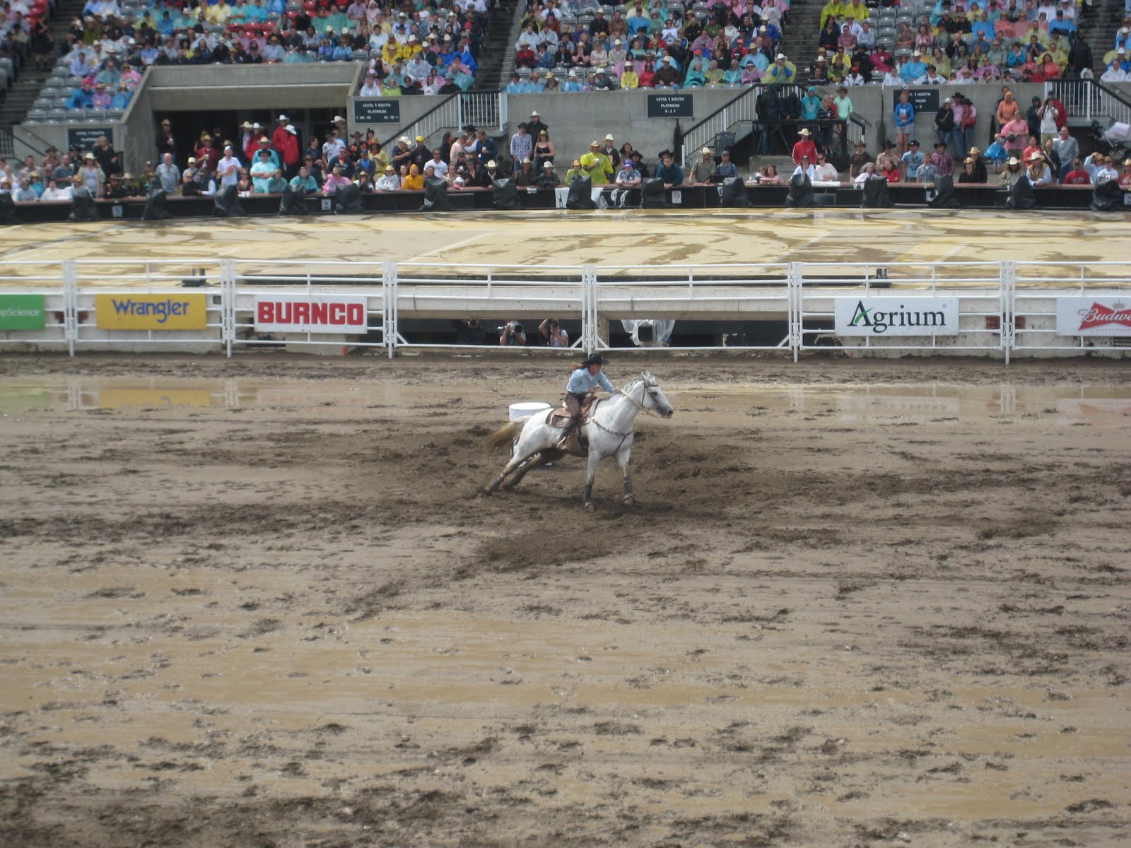 Anna's Next Adventure: Yee Hah!