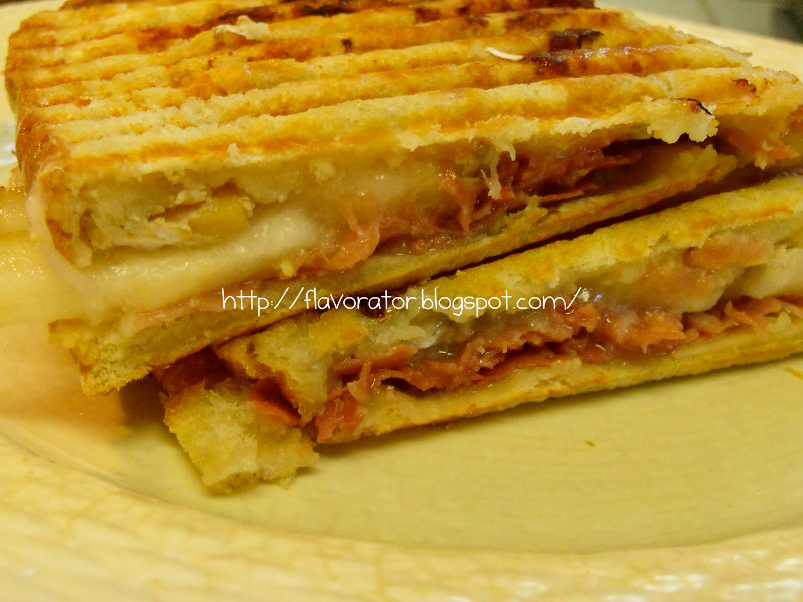 fLAVORATOr: Three Different Types of Panini's