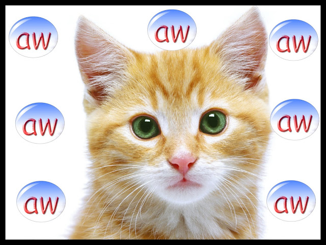 Debbie's Resource Cupboard: Letters and Sounds Phase 5 - aw poster