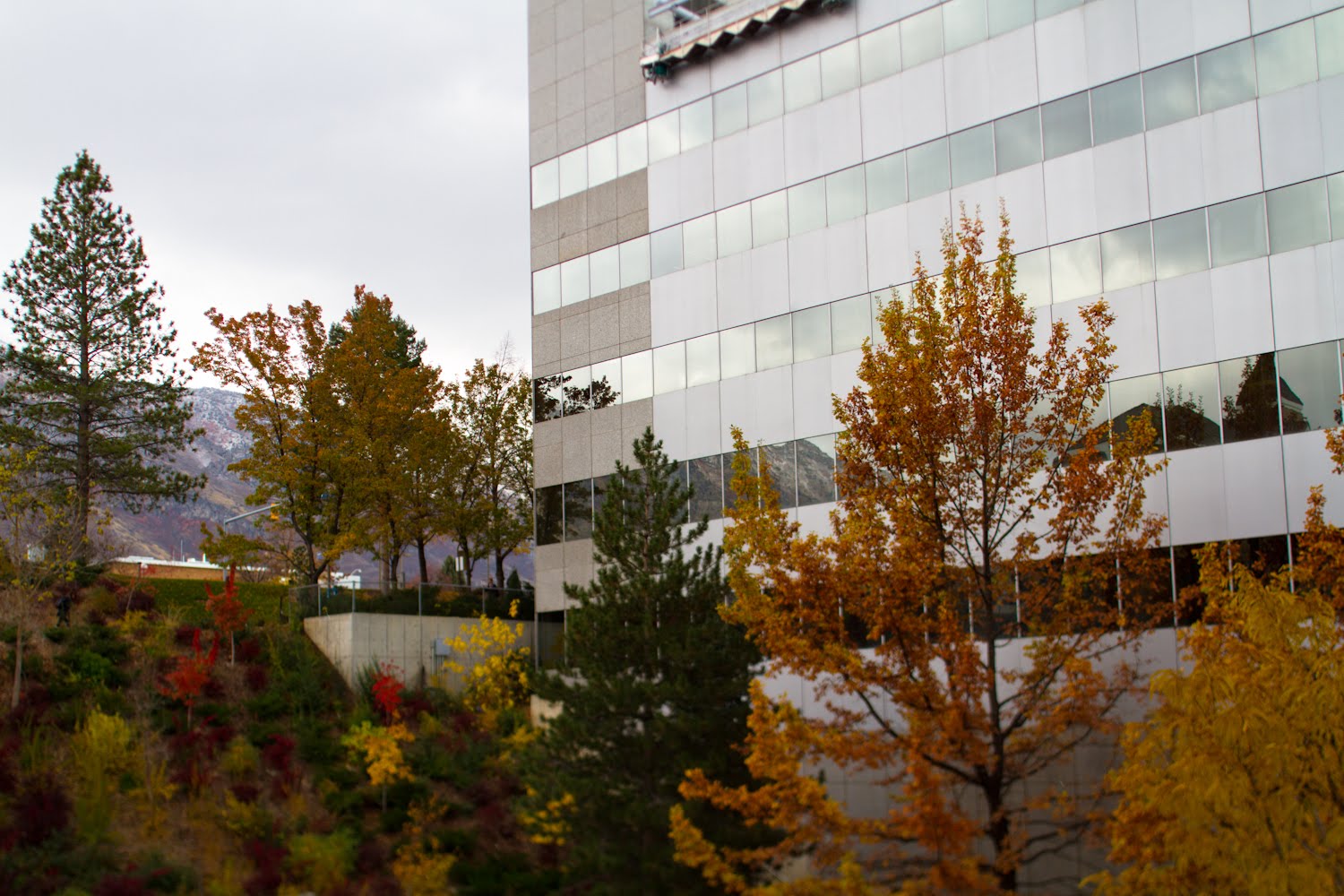 Mario Ruiz Photo Blog.: Shots of the Tanner Building