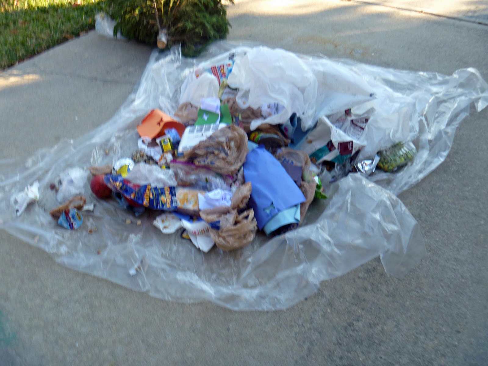 Lanie J. and Co.: January 2011