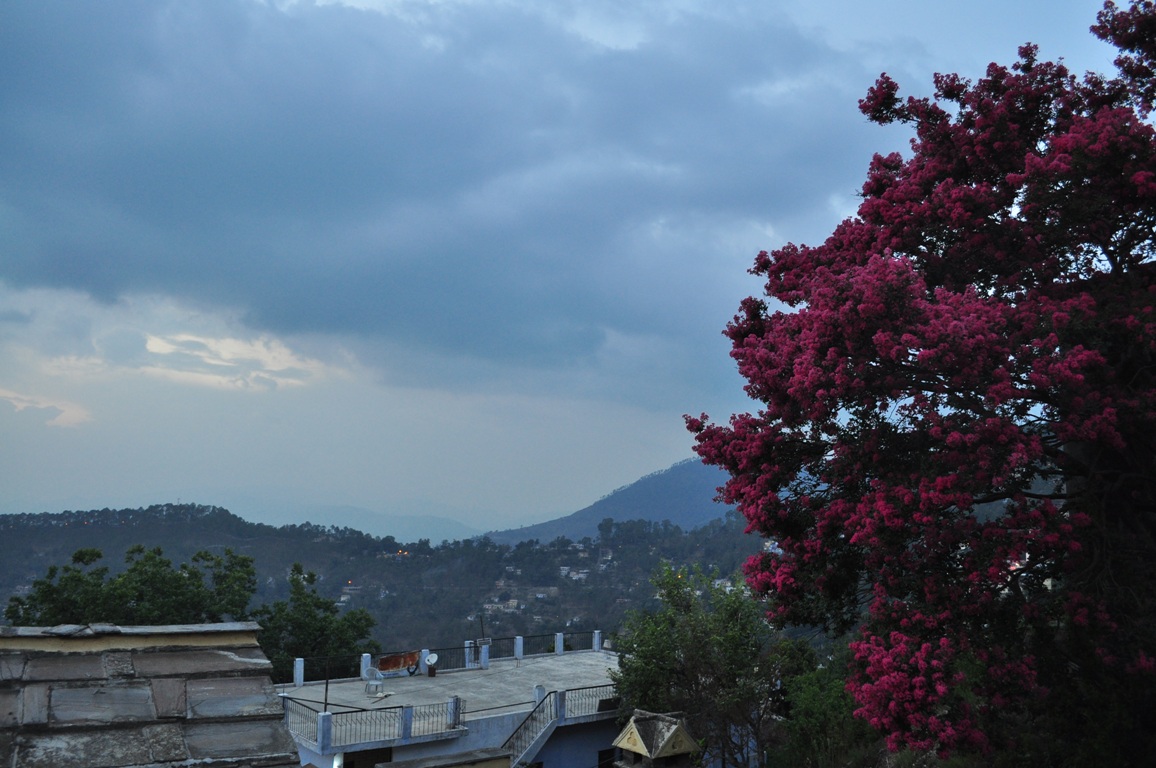 Almora - a town revisited