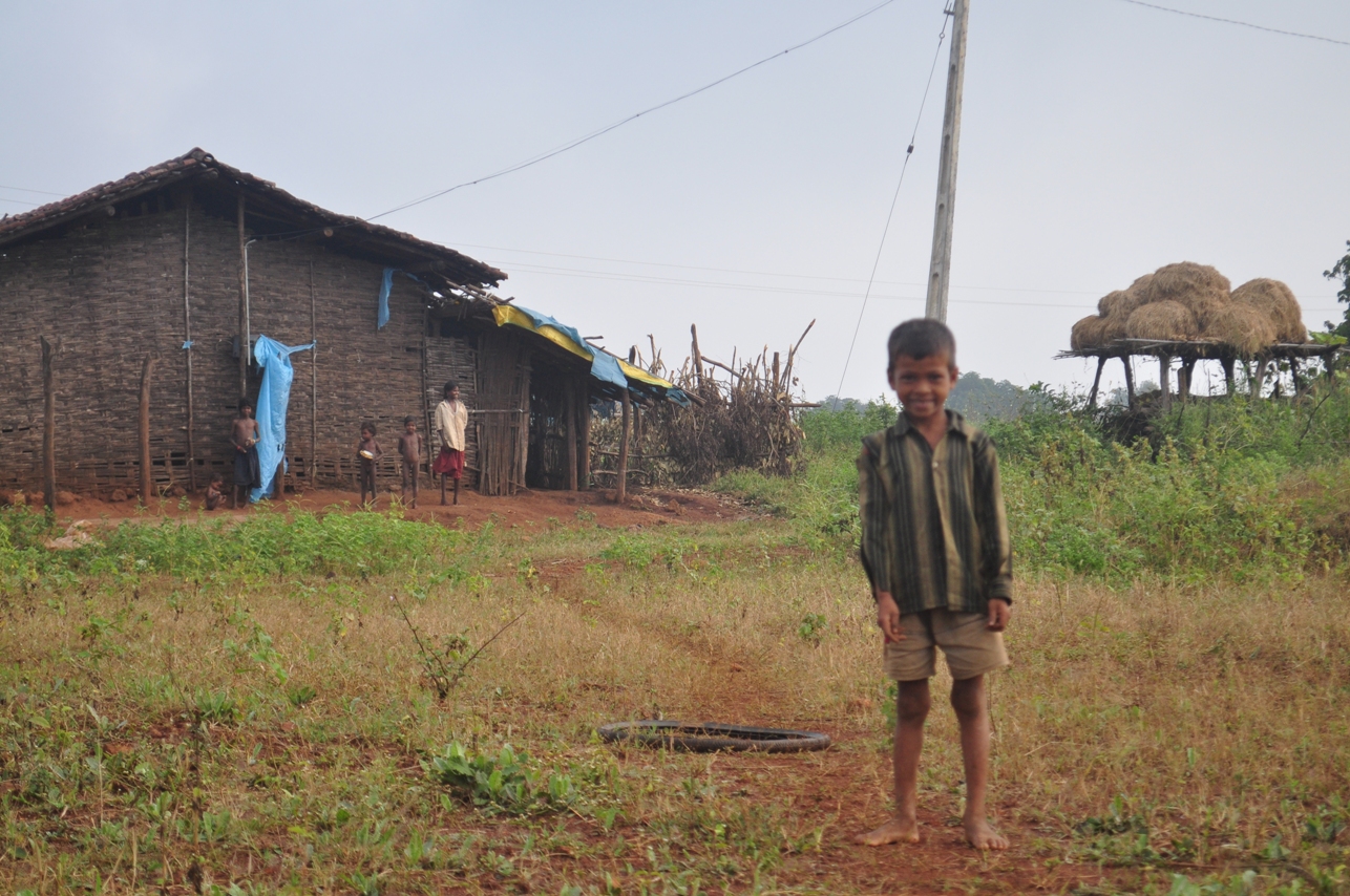 Things do to in and around Dediapada National Park in Gujarat