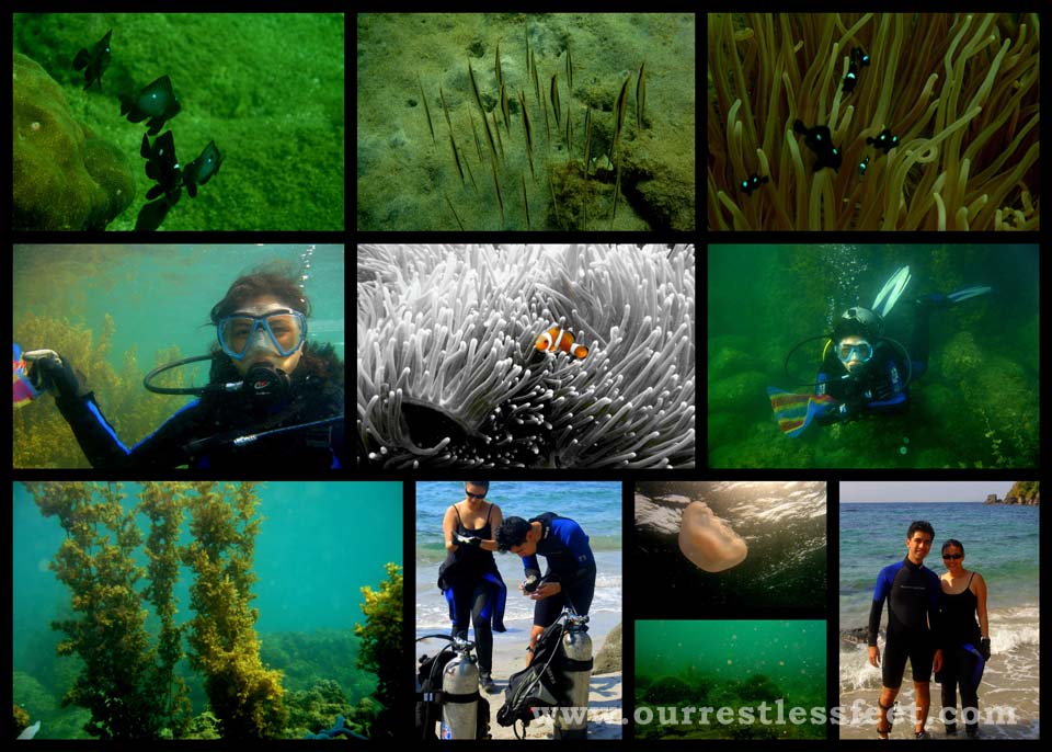 Travel and Experience the Philippines and the World!