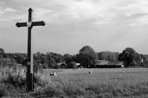 Farmer on a Mission: When Faith and Farming Collide- Part 2