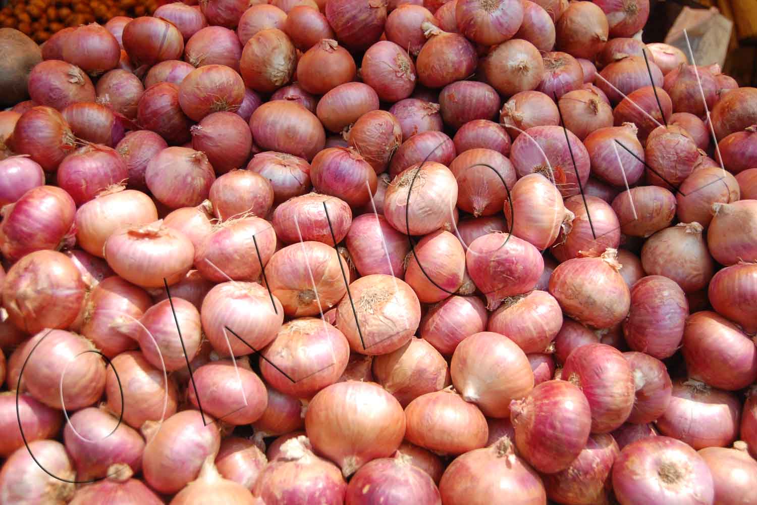 SANTANSHU SHARMA: 45 truckloads of onions arrived from Pakistan